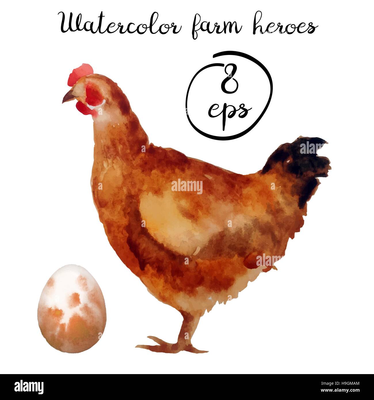 Vector farm poultry watercolor isolated on white background. Vector ...