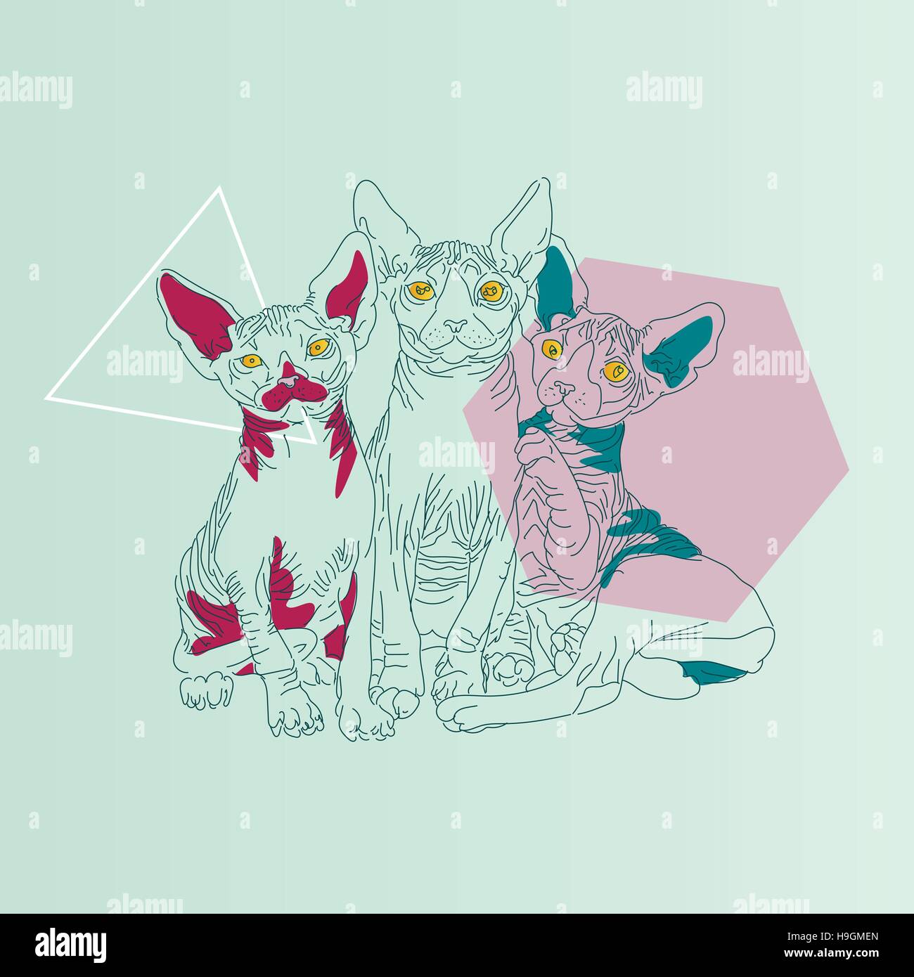 Geometric cats hi-res stock photography and images - Alamy