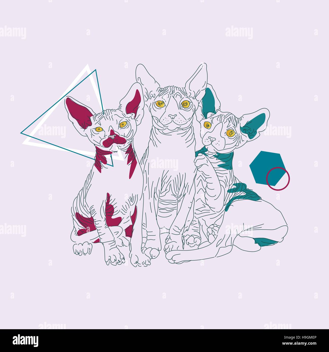Three thin line cats with geometric Shapes Stock Vector Image & Art - Alamy