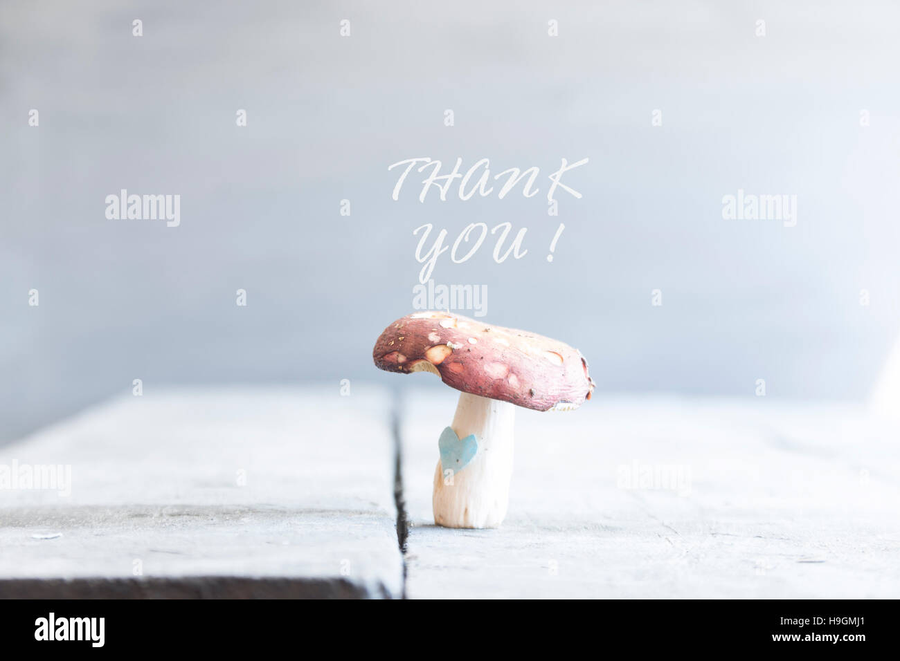 Thank You, lettering and mushrooms Stock Photo - Alamy