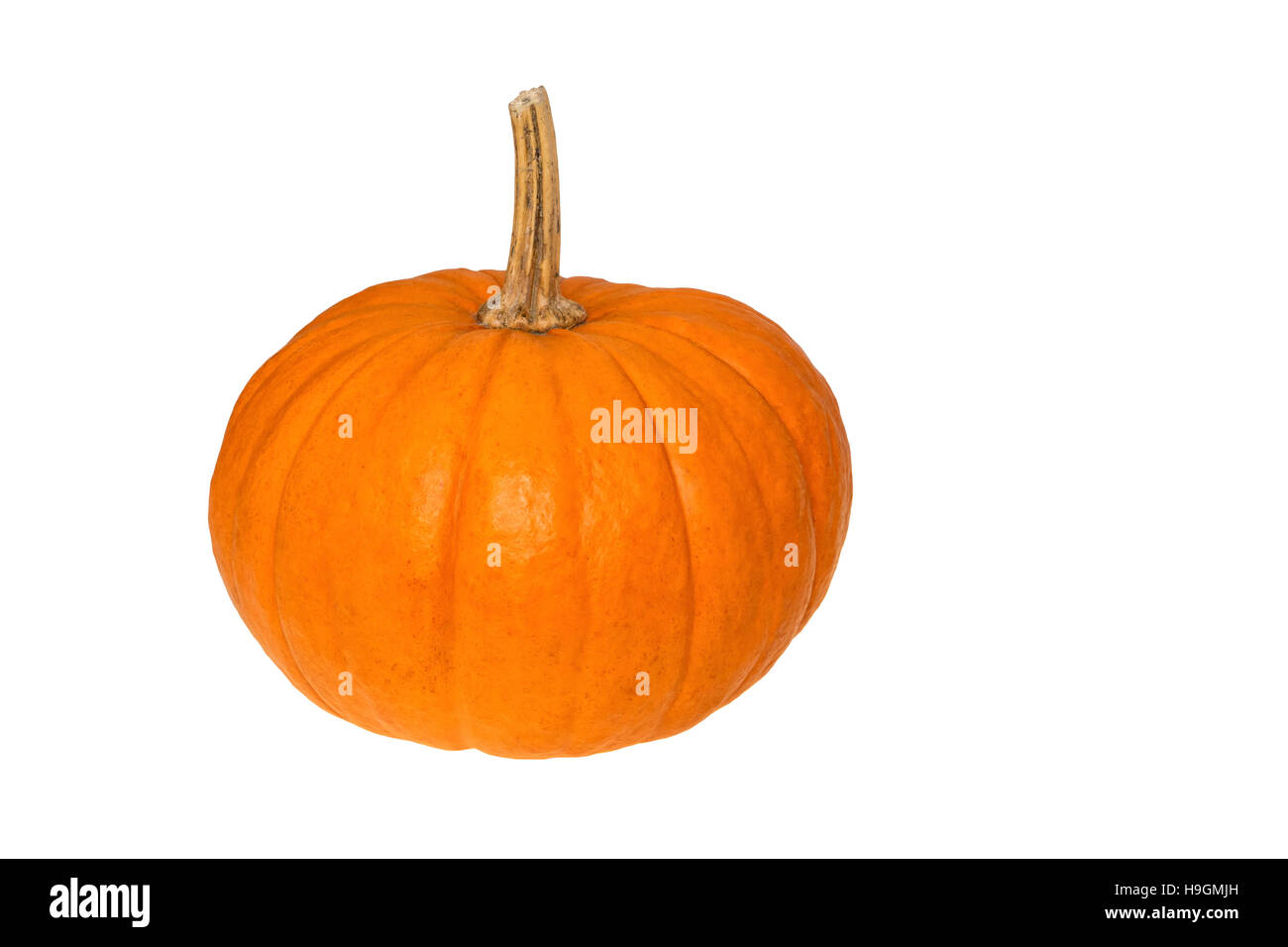 orange squash pumpkin isolated on white Stock Photo - Alamy