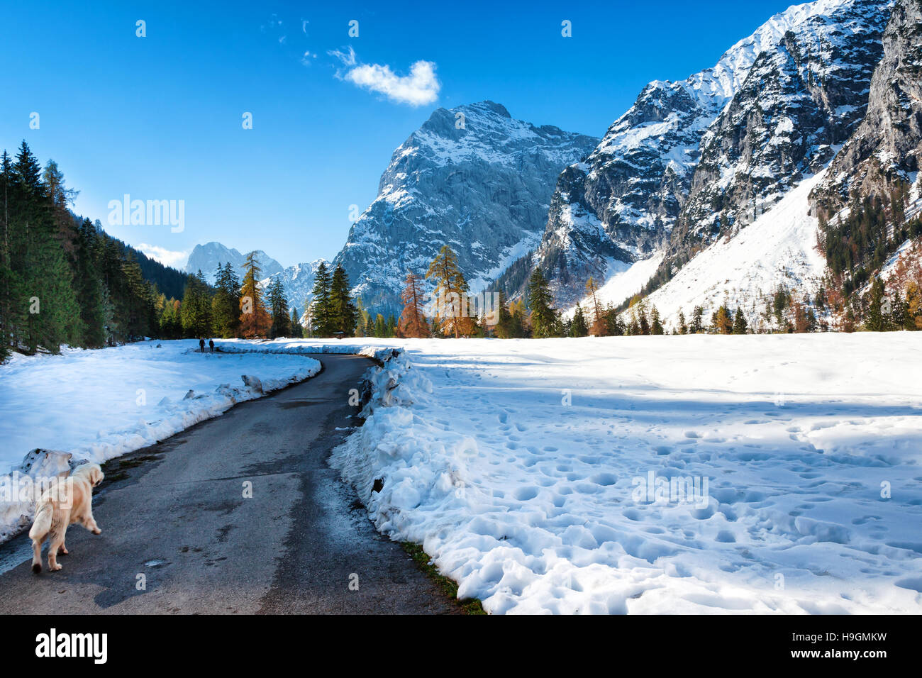 Autumn, winter, landscape hi-res stock photography and images - Alamy