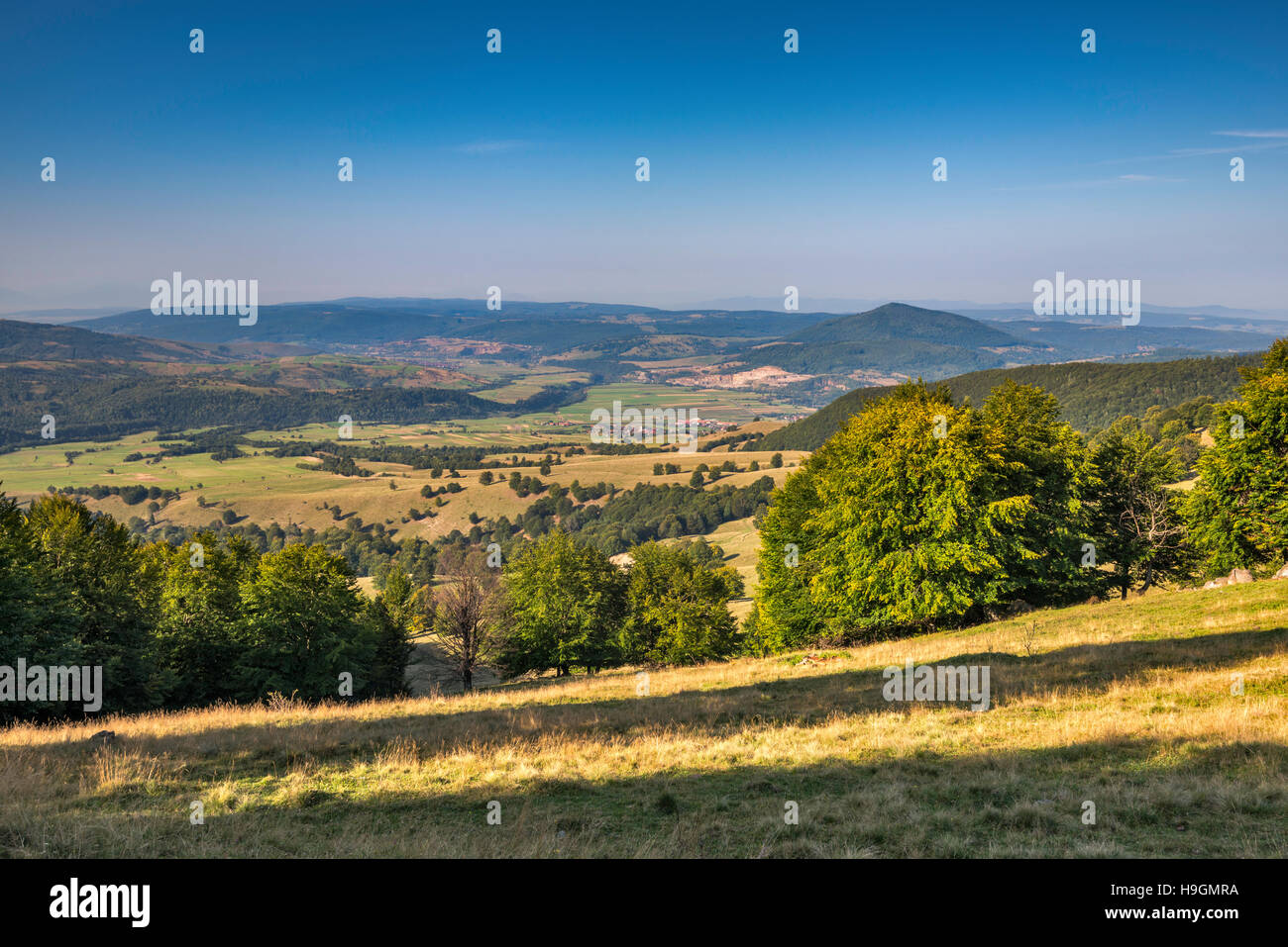 Olt river transylvania hi-res stock photography and images - Alamy