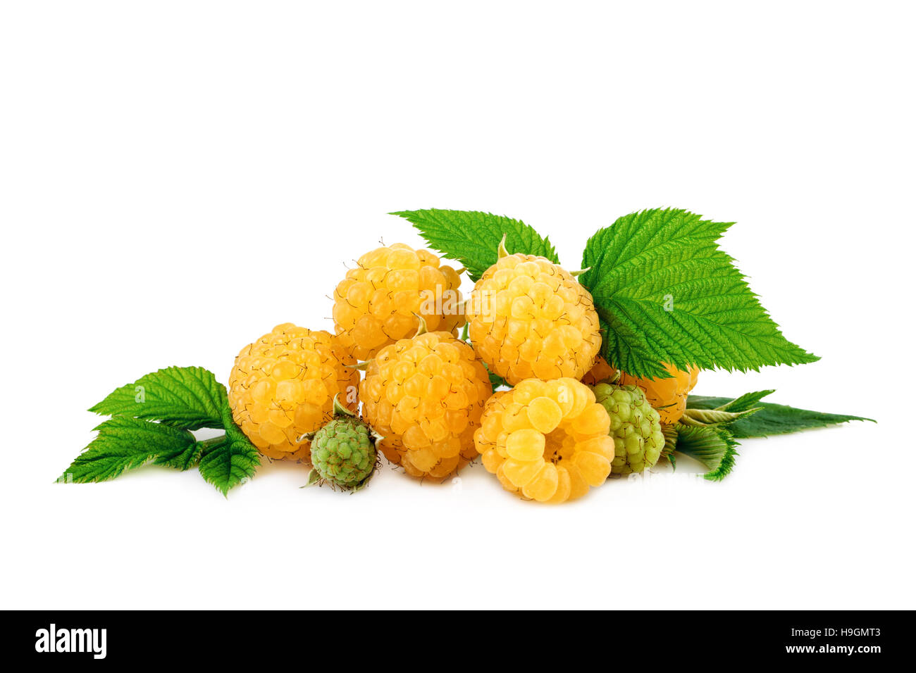 Pile fresh ripe raspberries Cut Out Stock Images & Pictures - Alamy