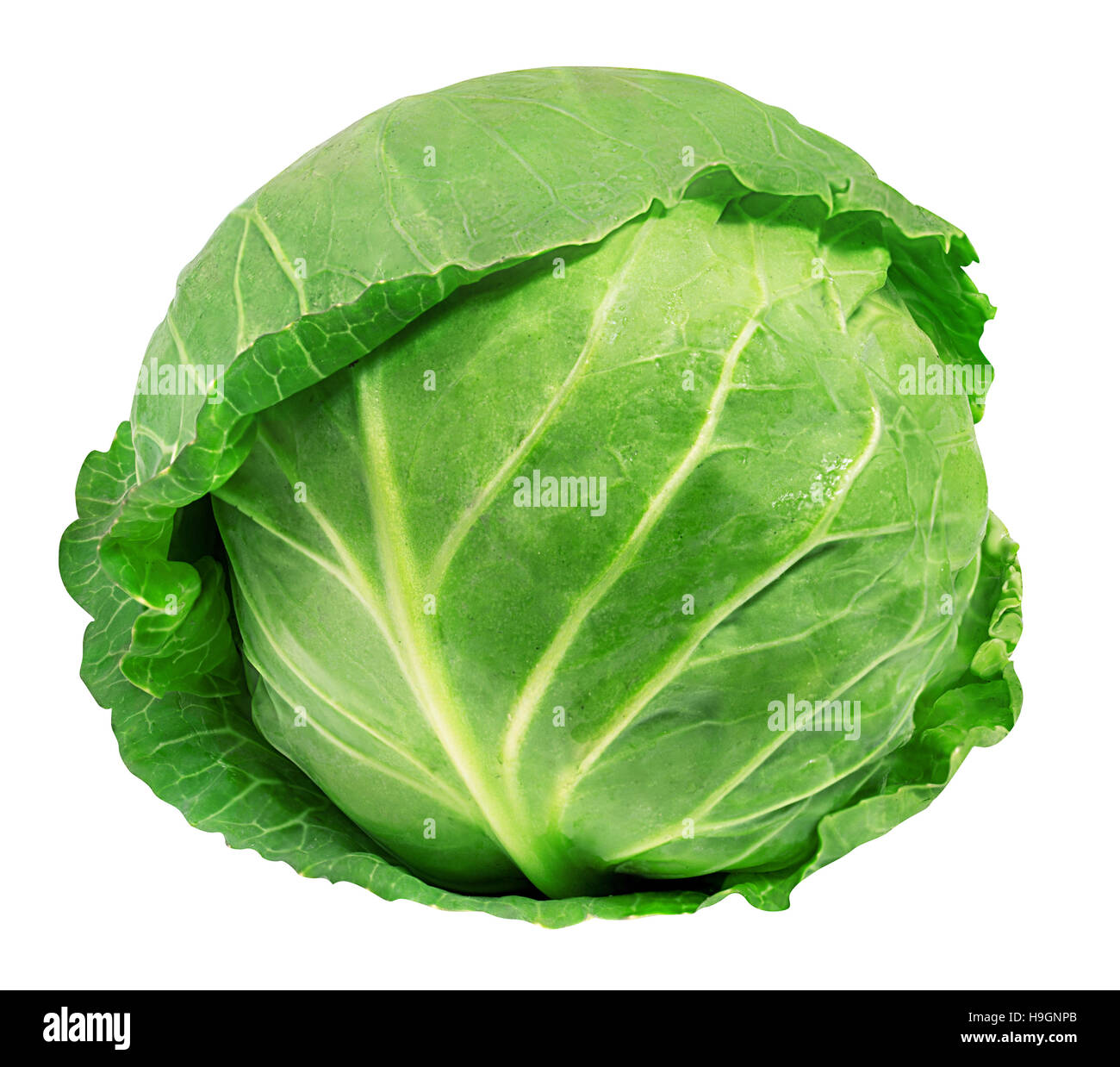 Green cabbage isolated on white background Stock Photo - Alamy