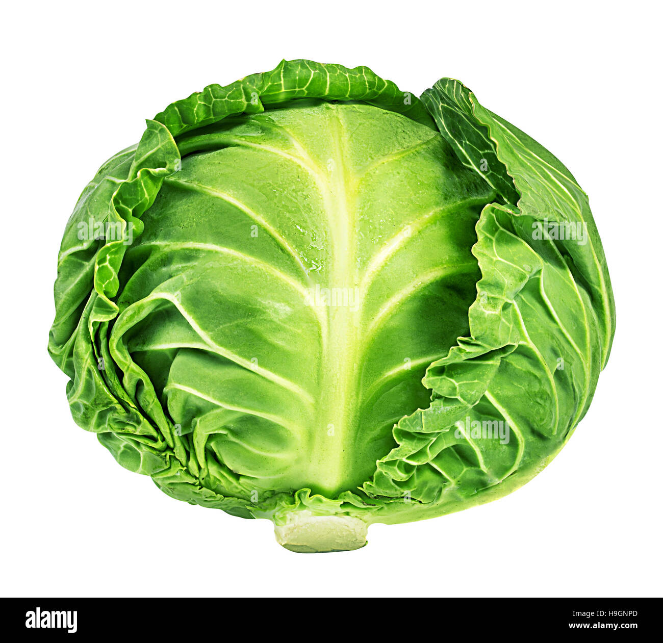 Green cabbage isolated on white background Stock Photo - Alamy