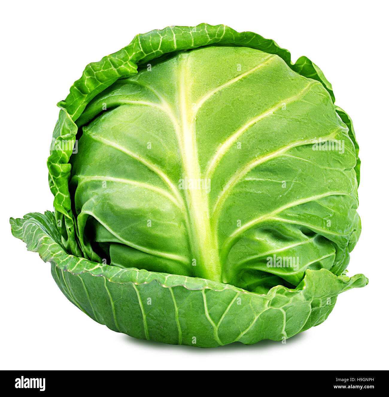 Green cabbage isolated on white background Stock Photo - Alamy