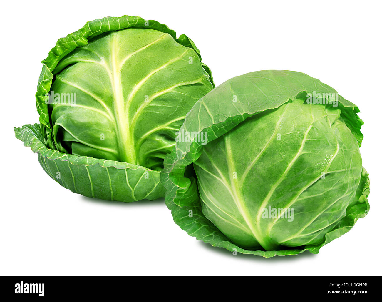 Green cabbage isolated on white background Stock Photo - Alamy