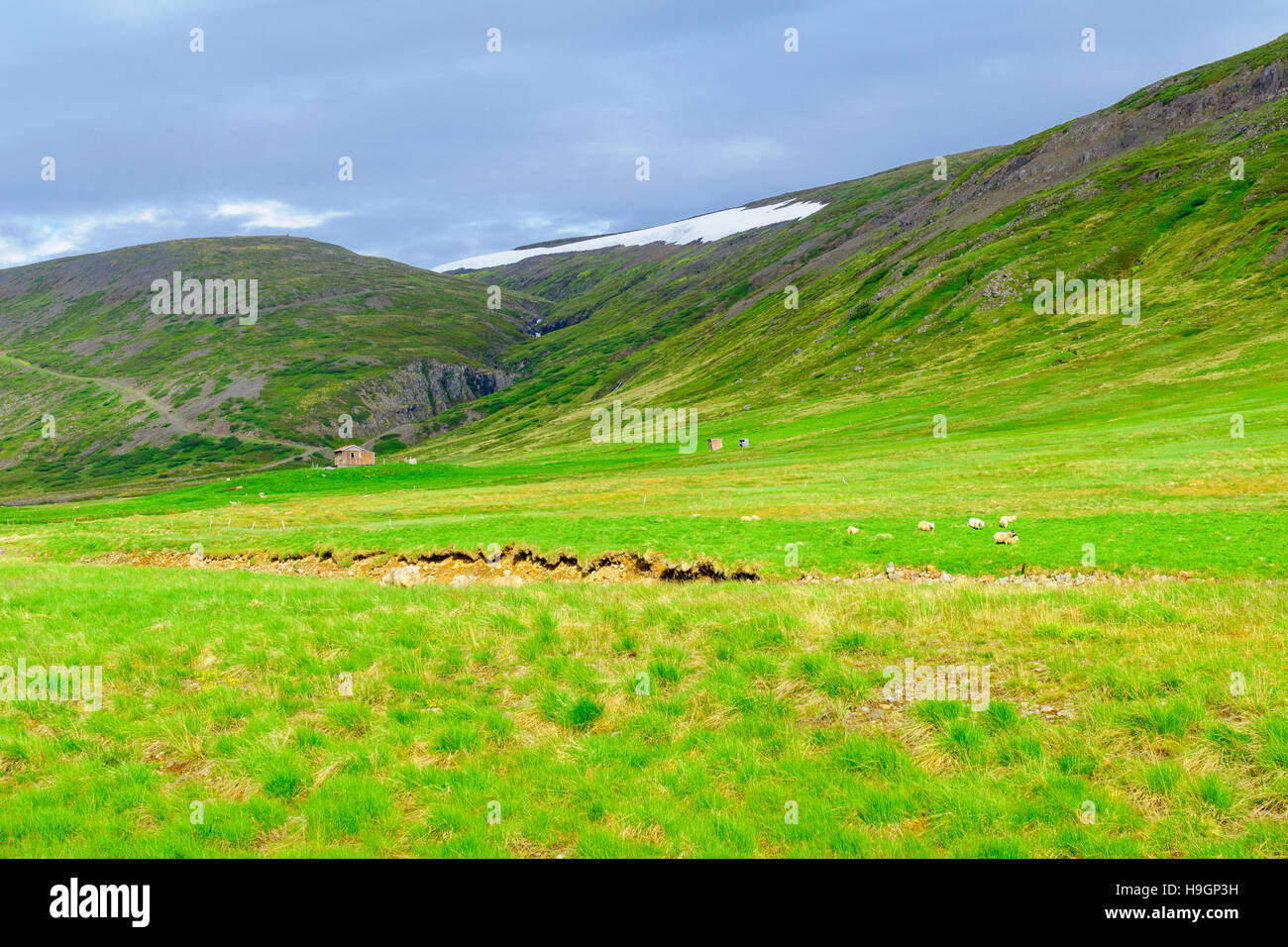 Countryside in the Strandir area, in the west fjords region, Iceland ...