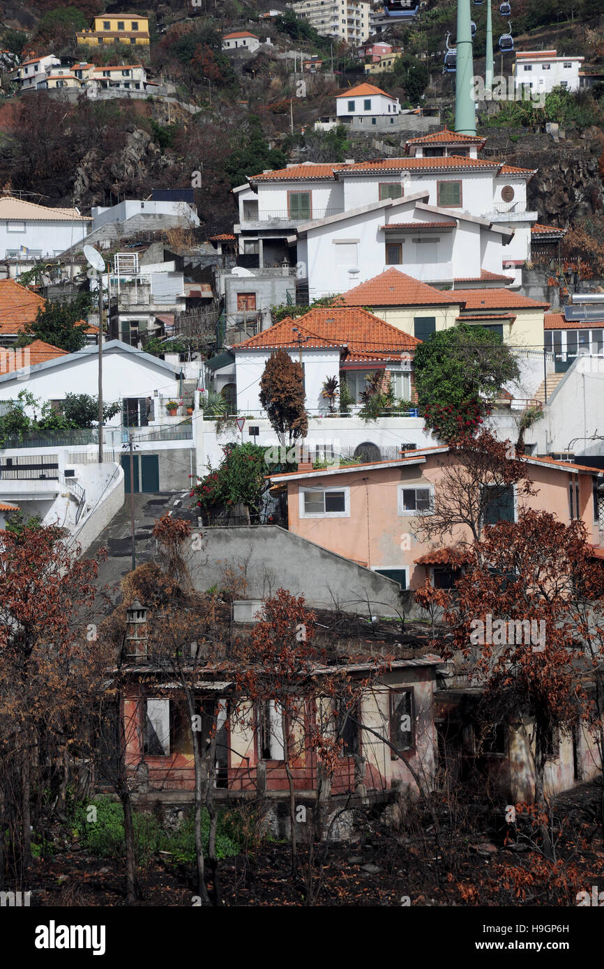 Fire damage in Funchal Madeira Portugal Stock Photo - Alamy