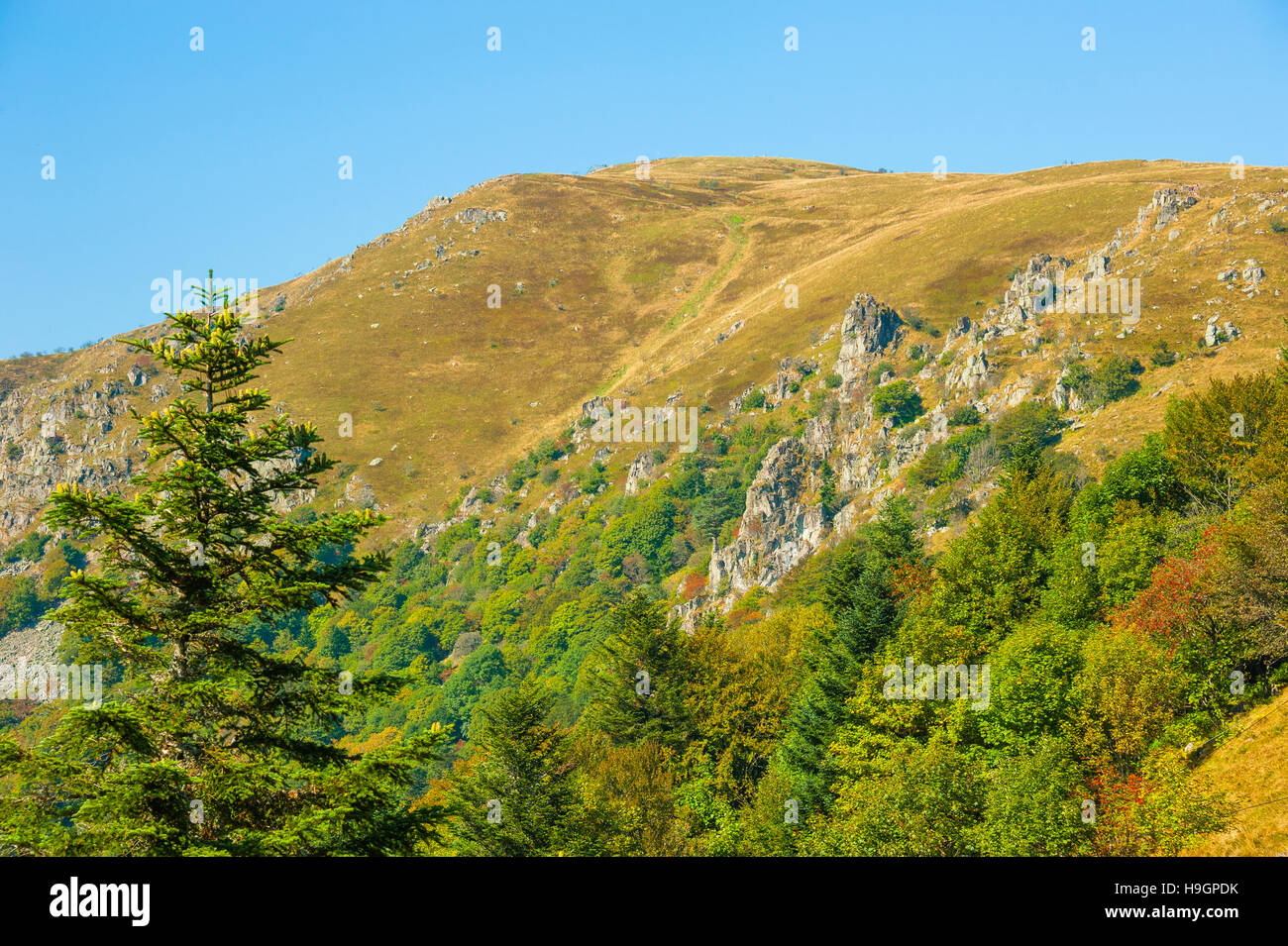 landscape of the Ballons des Vosges Nature Park, at the farm and ...