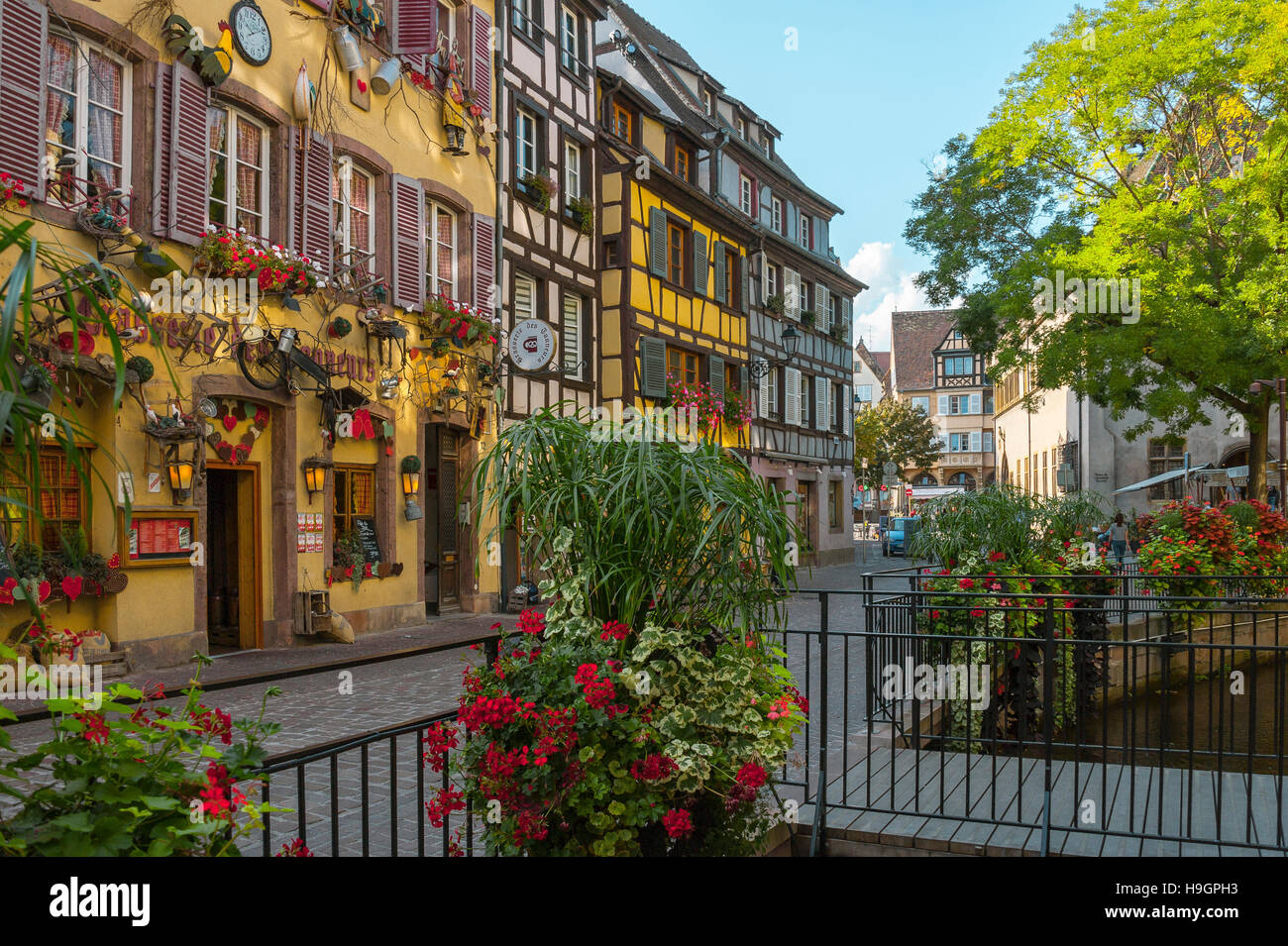 Colmar, scenic picturesque town, at the scenic route of Vine Alsatian ...
