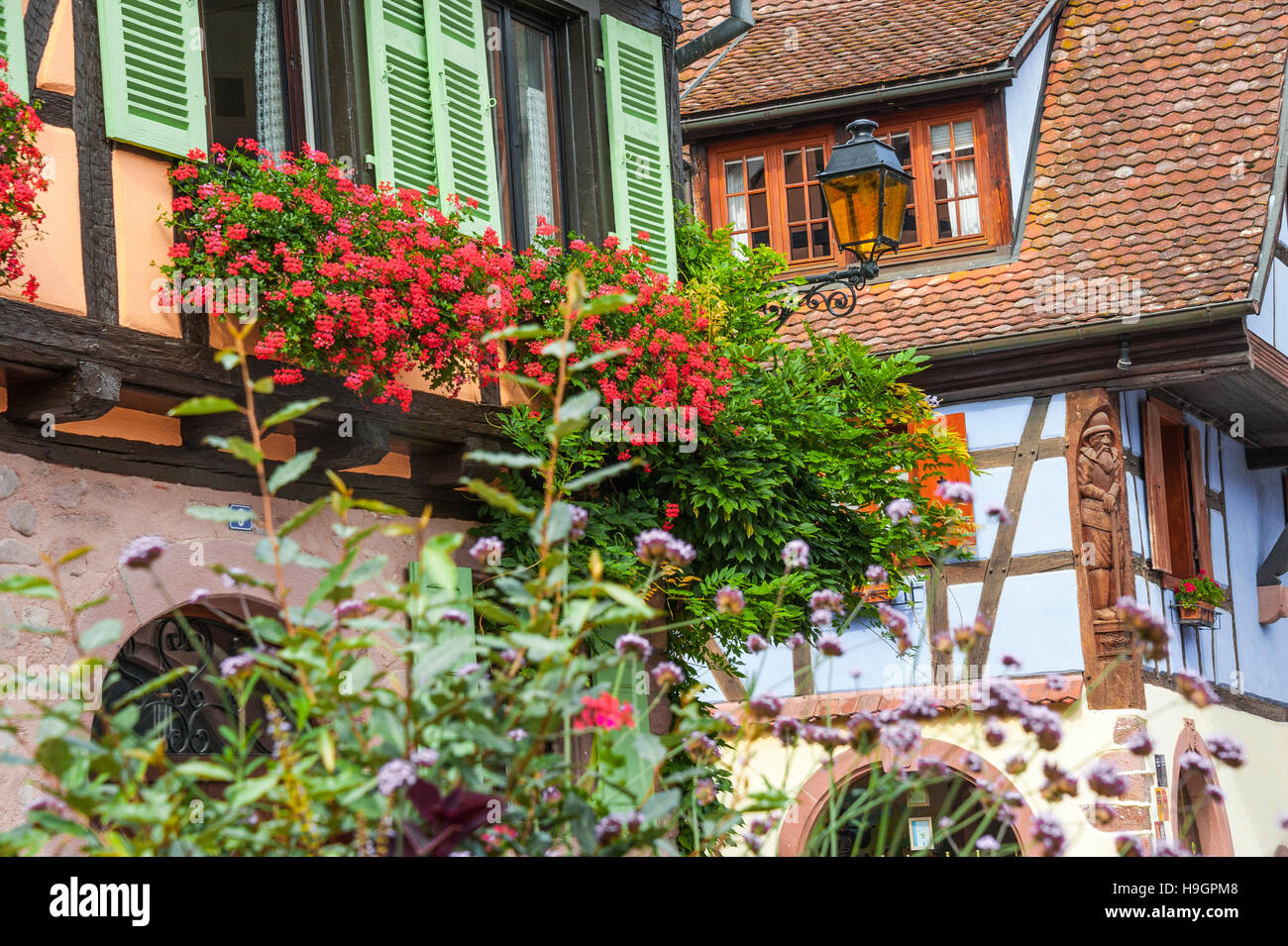 Kientzheim, next to Kaysersberg, scenic village, route of vine Alsatian ...