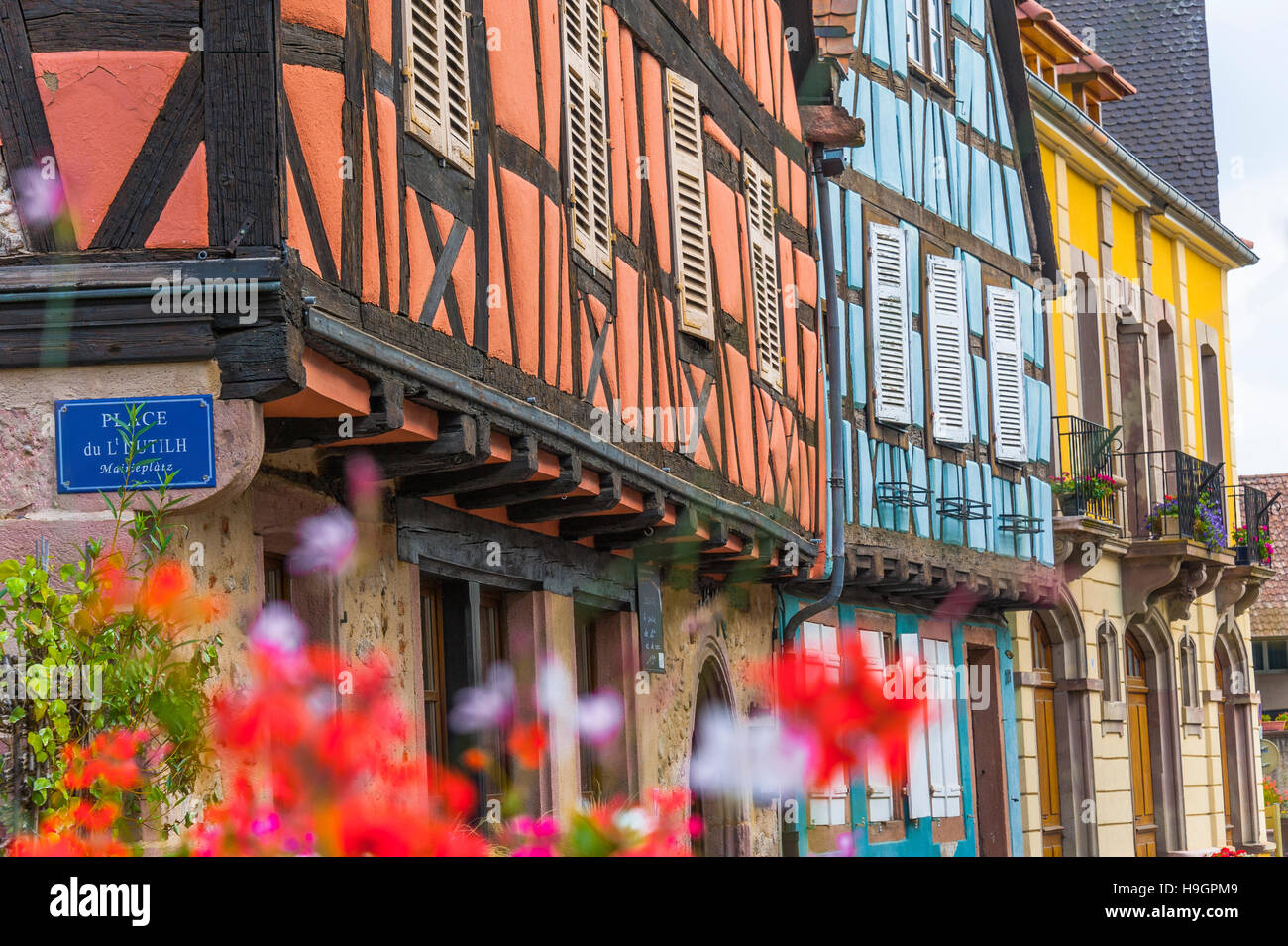 Kientzheim, next to Kaysersberg, scenic village, route of vine Alsatian ...