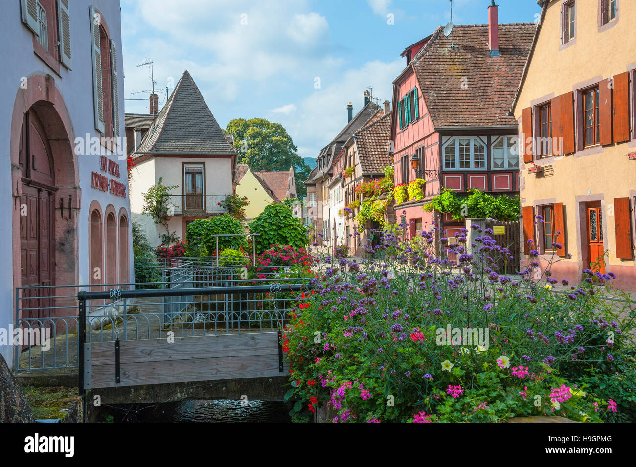 Kientzheim, next to Kaysersberg, scenic village, route of vine Alsatian ...
