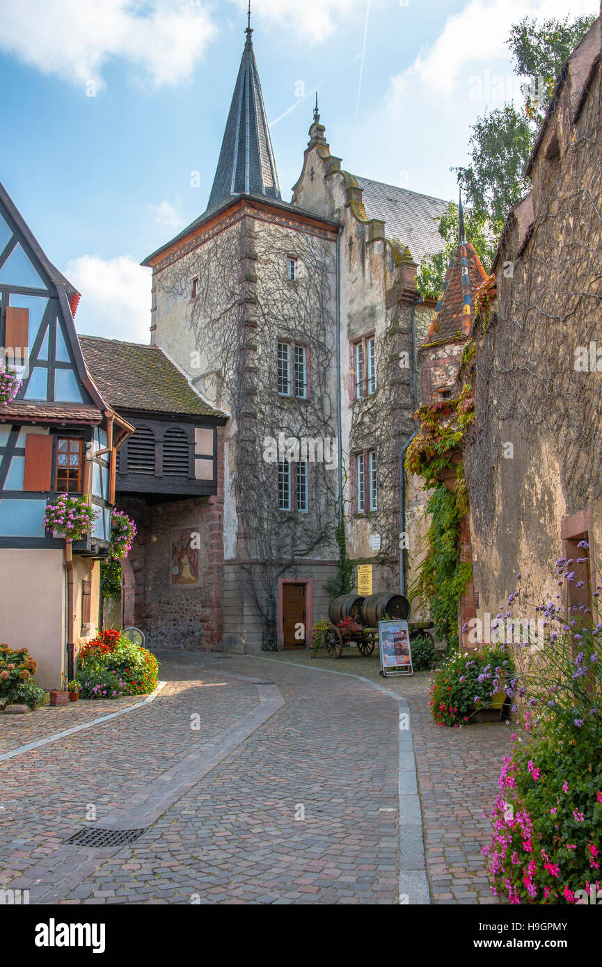 Kientzheim, next to Kaysersberg, scenic village, route of vine Alsatian ...