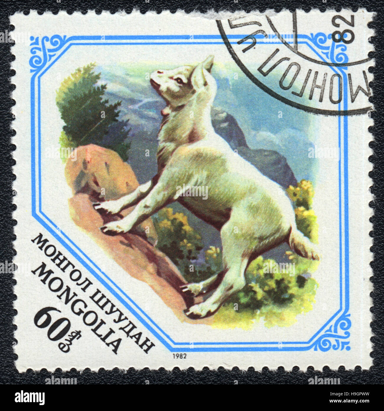 A postage stamp printed in MONGOLIA shows a young goat, 1982 Stock ...