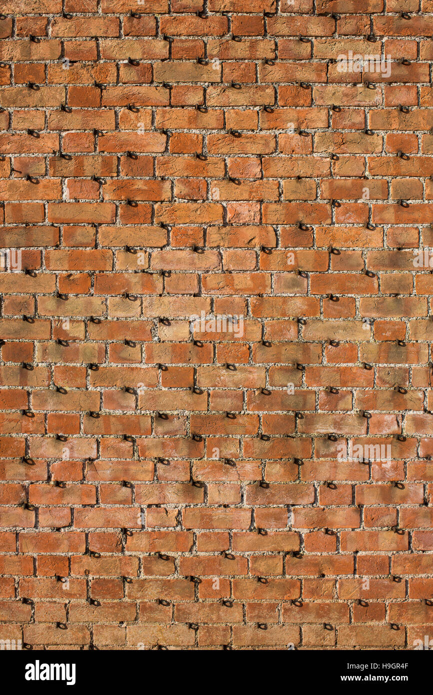 Old brick wall plants growing hi-res stock photography and images - Alamy