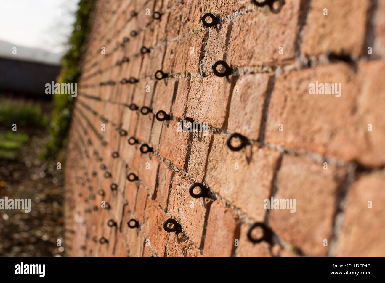 Old brick wall plants growing hi-res stock photography and images - Alamy