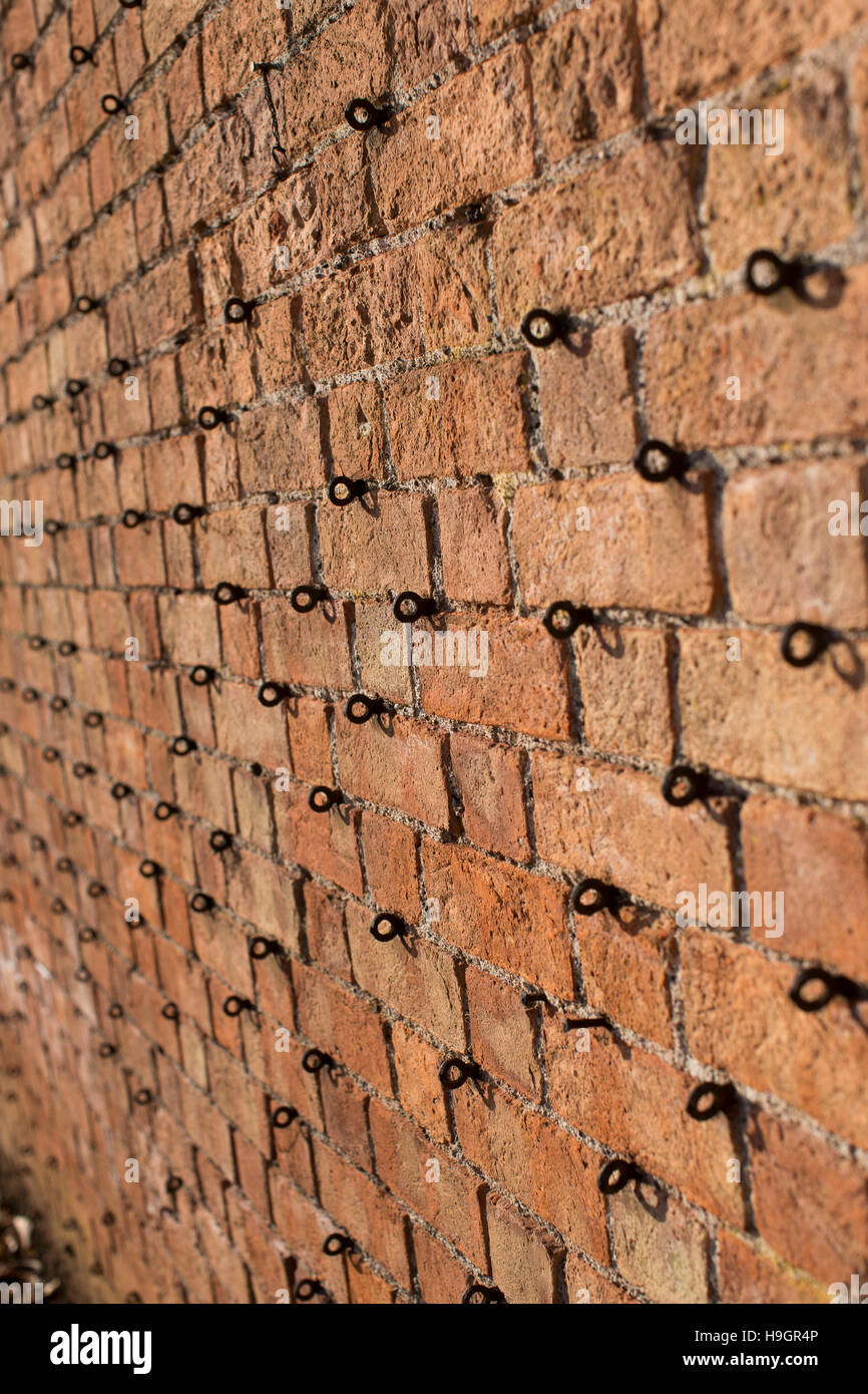Old brick wall plants growing hi-res stock photography and images - Alamy