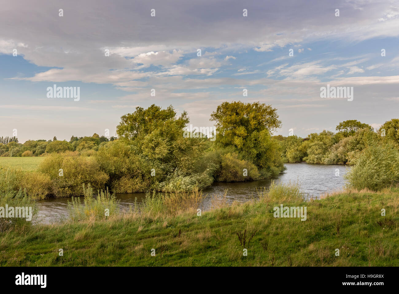 River Ouse, York, UK Stock Photo - Alamy
