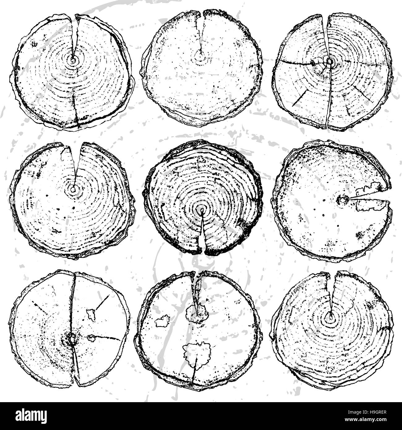 Vector hand drawn wood round split set isolated on white backdrop ...