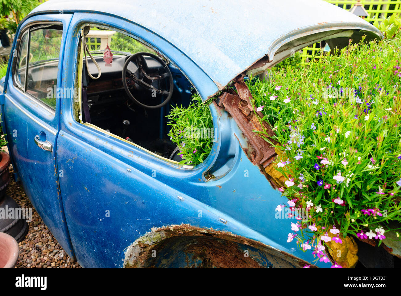 Plants growing out of car hi-res stock photography and images - Alamy