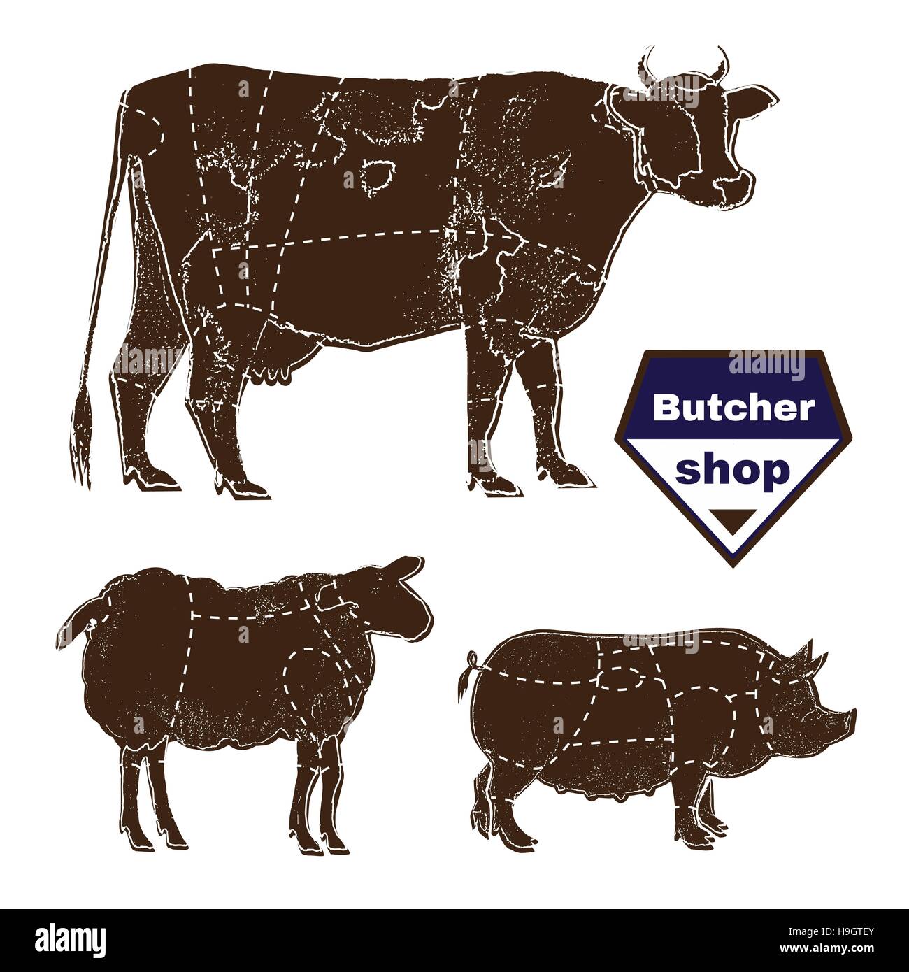 Set of farm animals for butcher shop with anatomic cut hand-drawn with ...