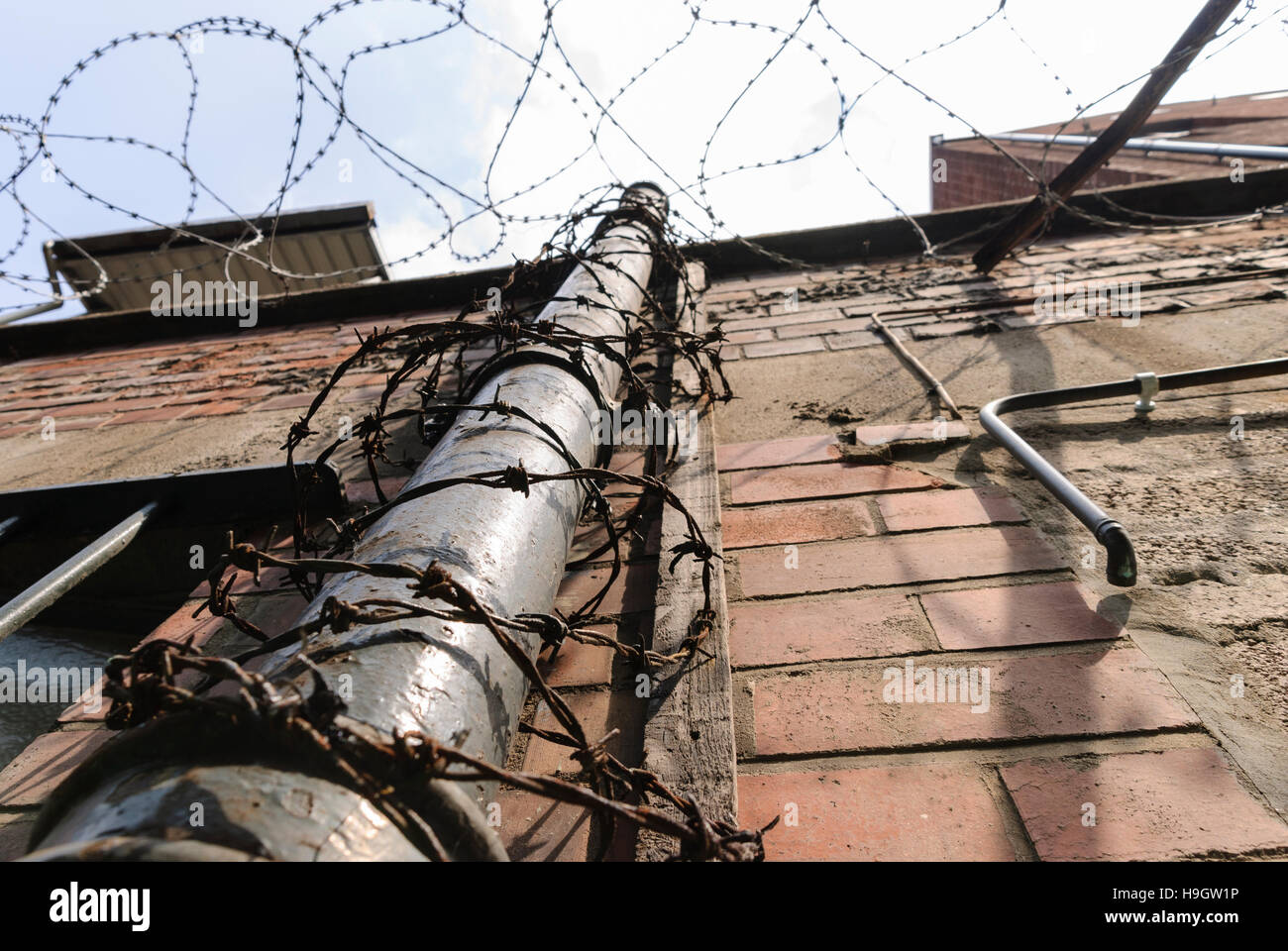 Barbed wire around a drainage downspout and along the top of a roof ...