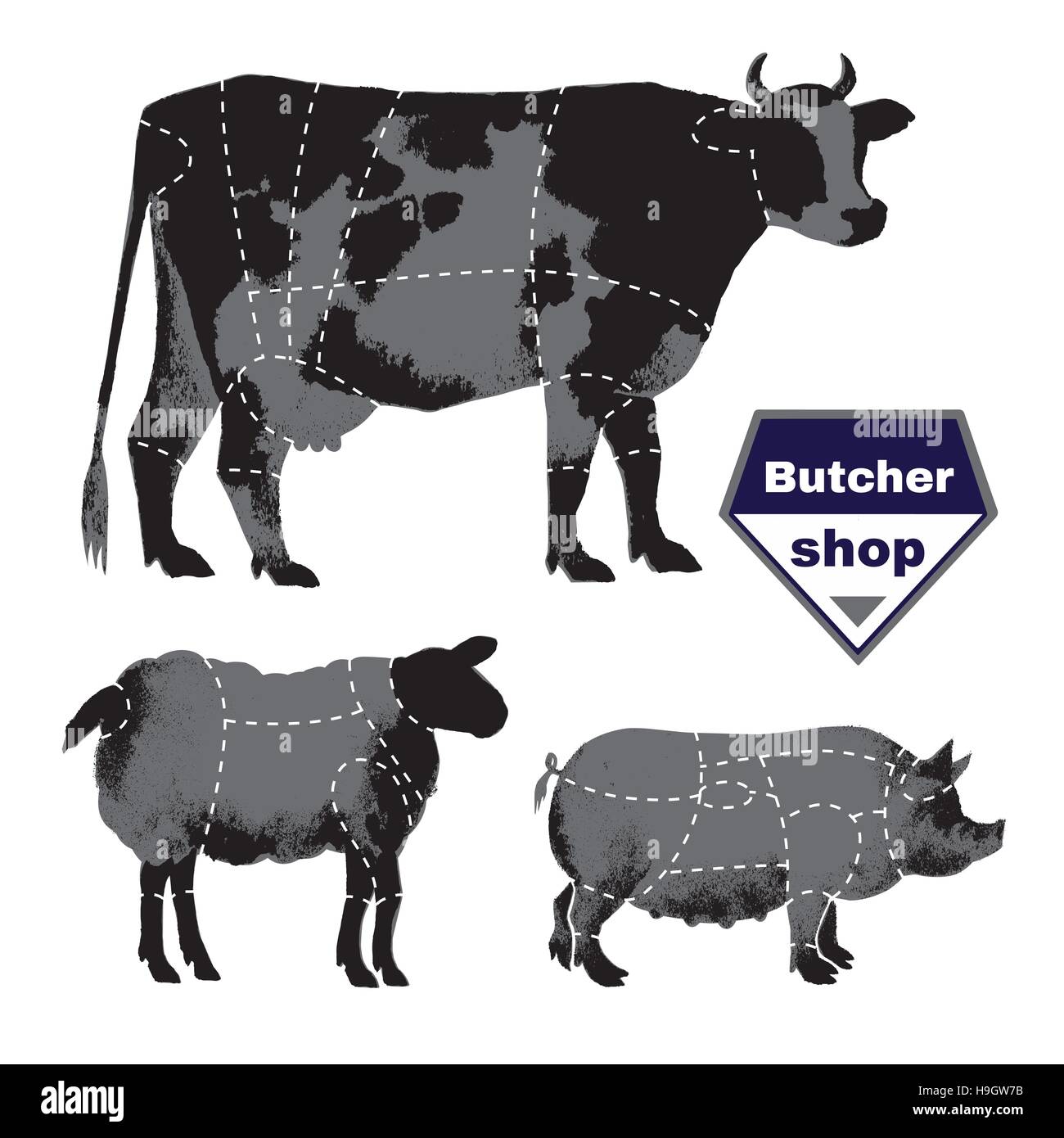 Set of farm animals for butcher shop with anatomic cut Stock Vector ...