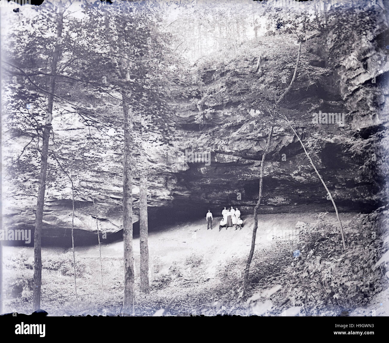 Archival national forest hi-res stock photography and images - Alamy