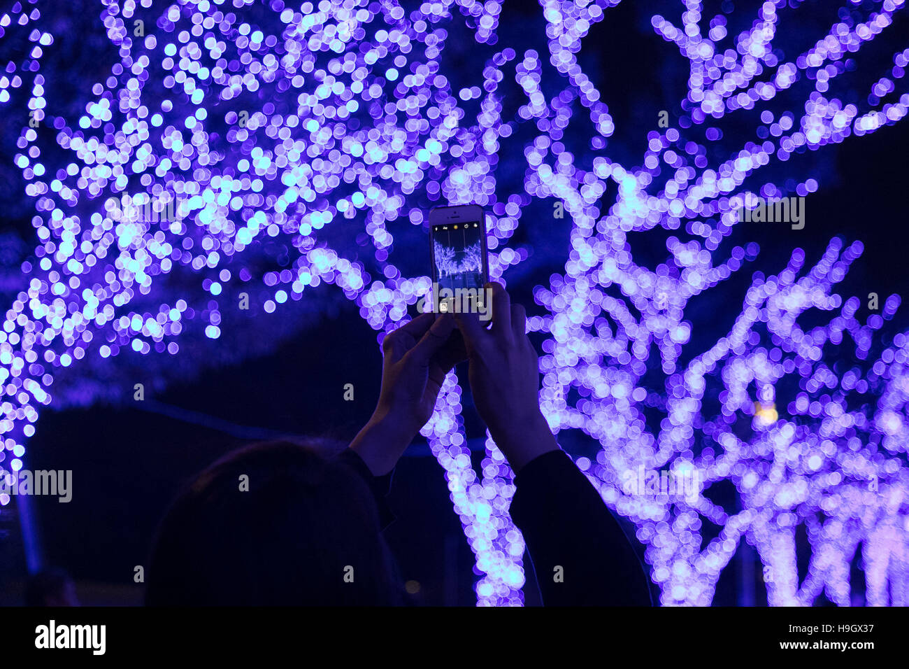 Tokyo, Japan. 22nd Nov, 2016. A woman takes pictures to the blue LED ...