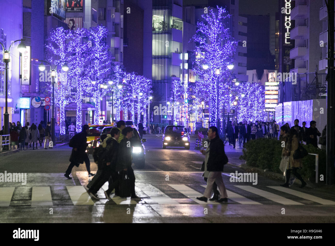 Tokyo, Japan. 22nd Nov, 2016. Thousands of Blue LED lights on display ...