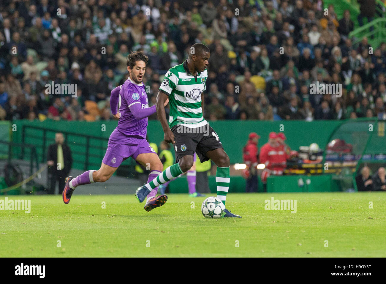 Lisbon, Portugal. 22nd Nov, 2016. Sporting's midfielder from Portugal ...