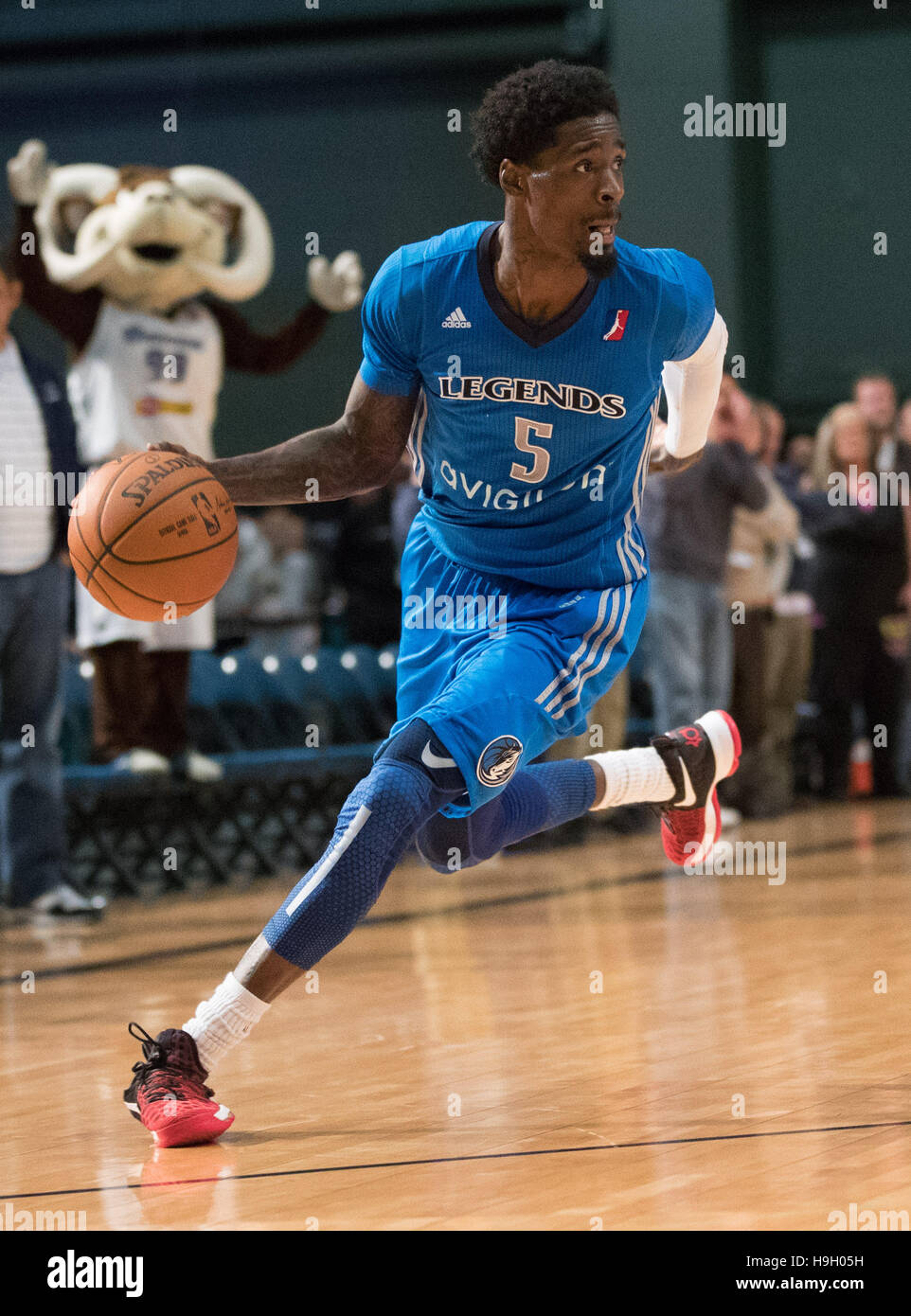 Reno, Nevada, USA. 22nd Nov, 2016. Texas Legends Guard MANNY HARRIS (5 ...