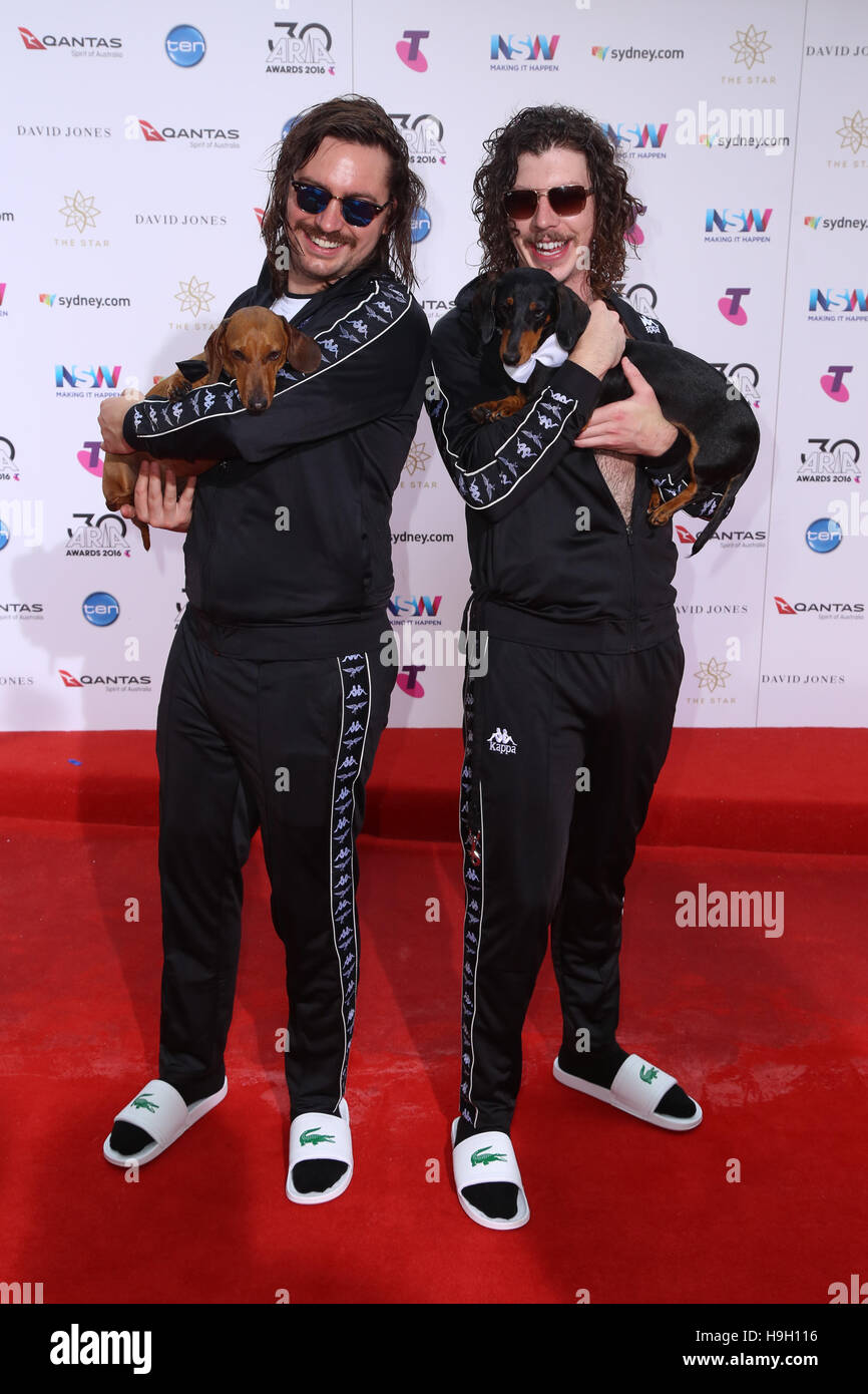 Sydney, Australia. 23 November 2016. Peking Duk arrives on the red ...