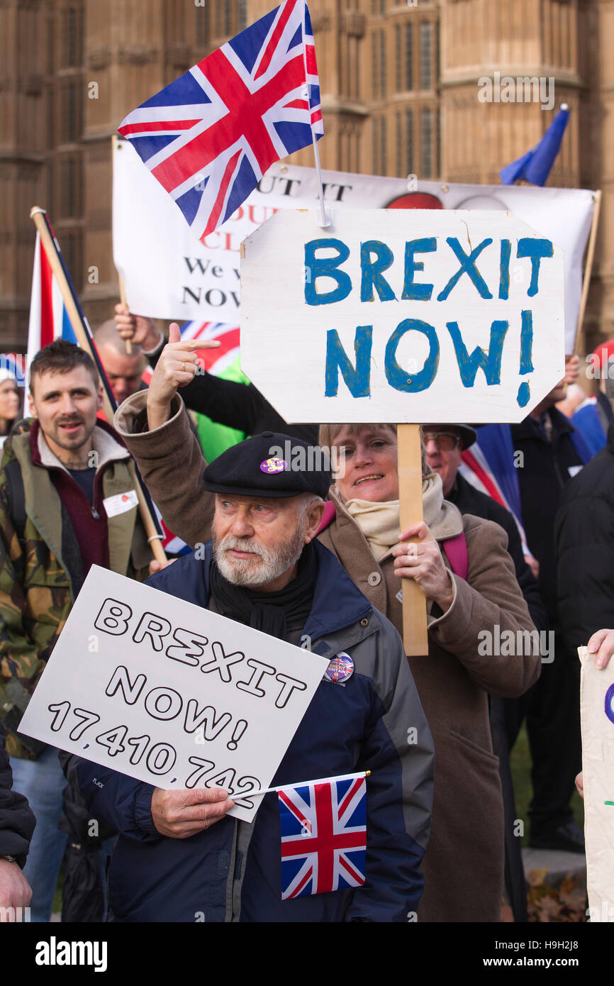 Pro brexit protest 2016 parliament hi-res stock photography and images ...