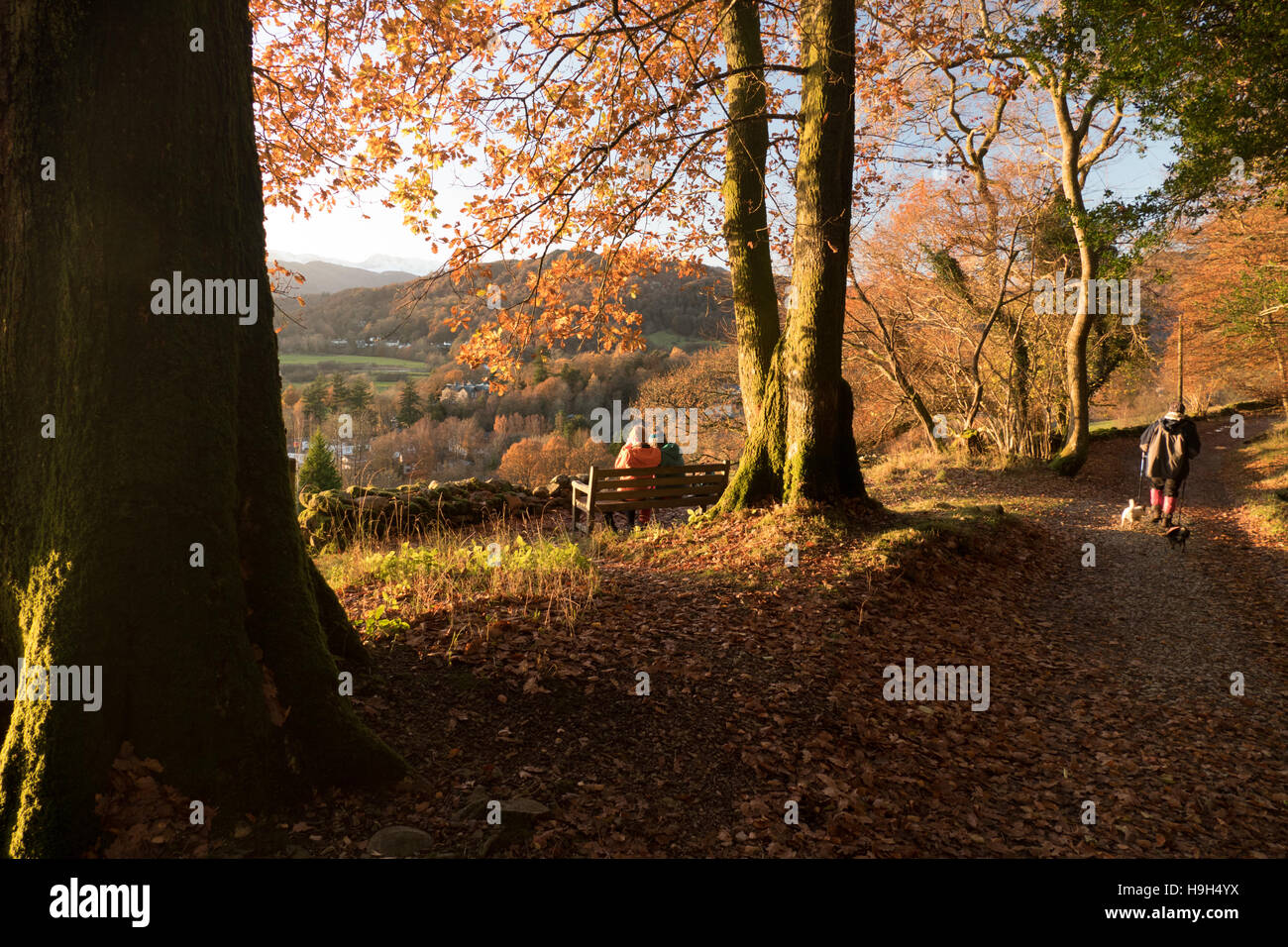 Ambleside, Cumbria, UK. 23rd November, 2016. UK Weather. After some wet ...