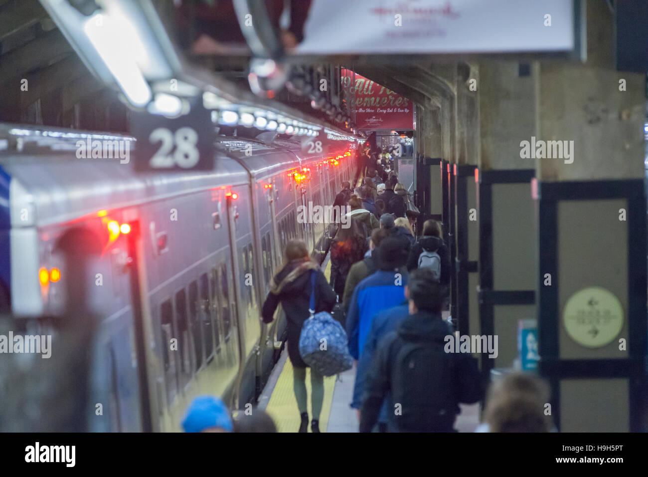 Terminal 5 new york crowd hi-res stock photography and images - Alamy