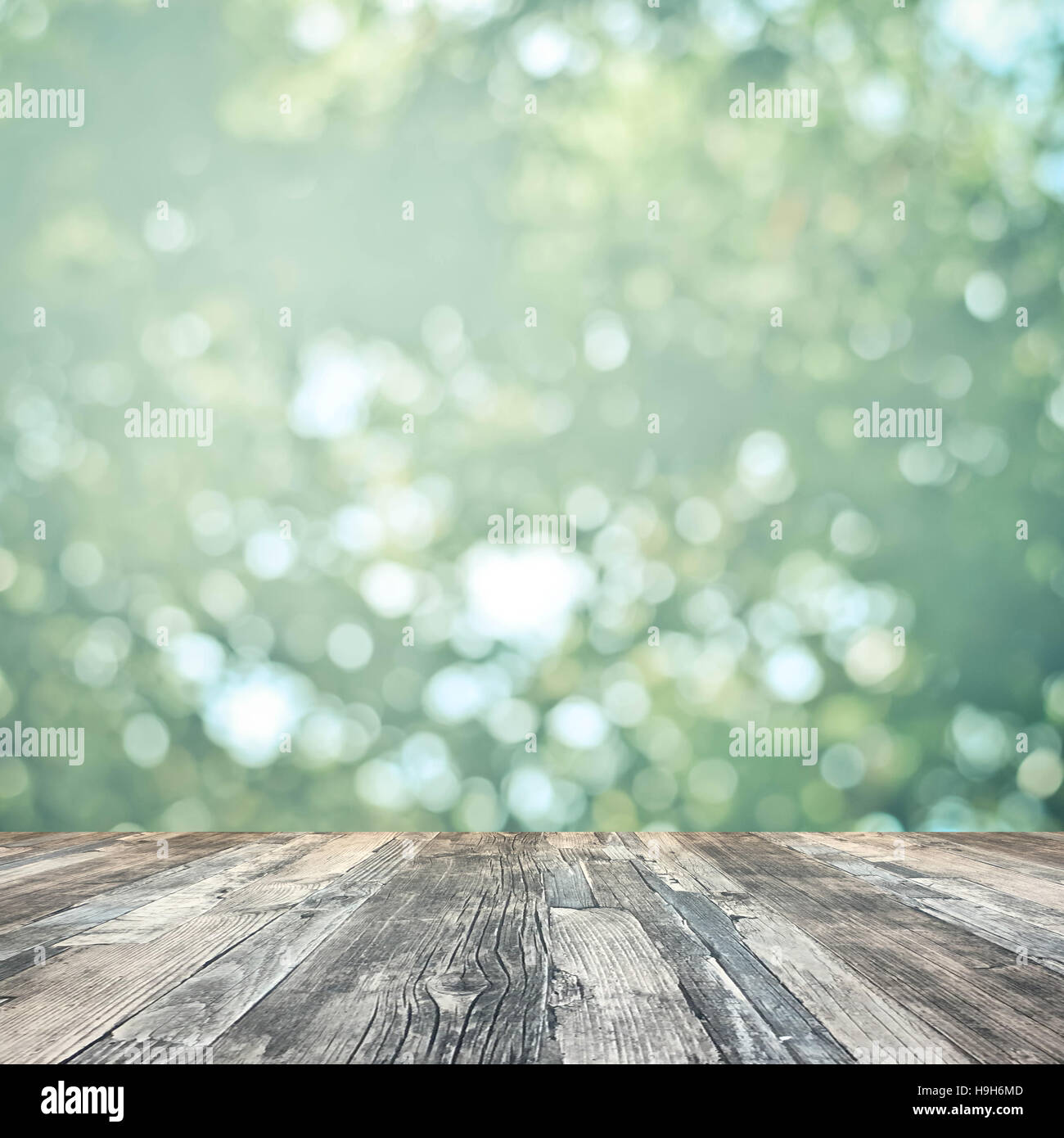 Rustic Greenspring Backgrounds