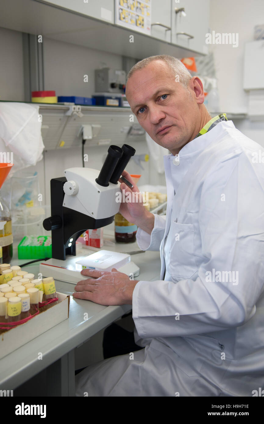 Dresden, Germany. 07th Nov, 2016. Professor Klaus Reinhardt, a zoology ...