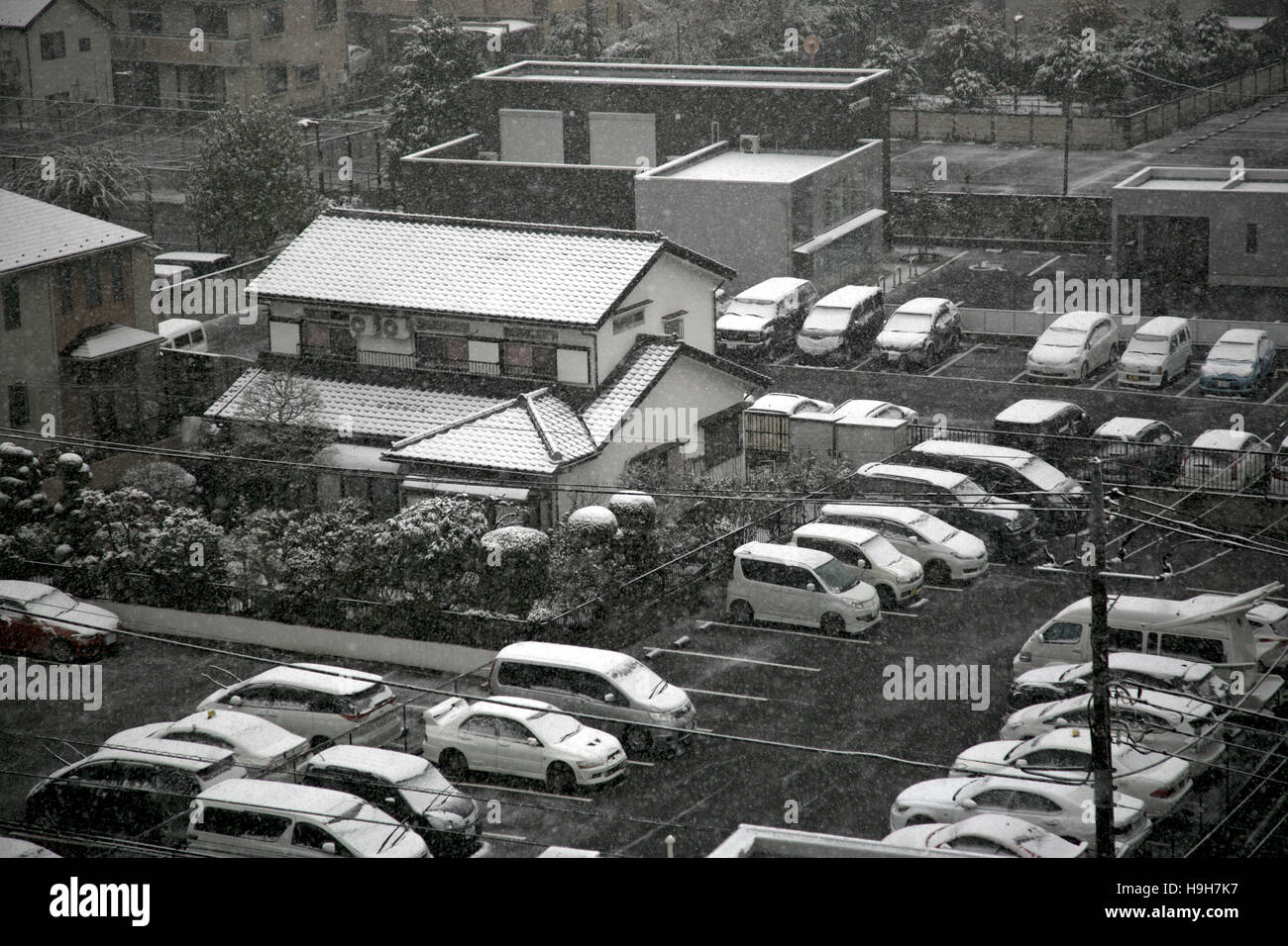 Tokyo, Japan. 24th Nov, 2016. Tokyo's first snowfall of the year on ...