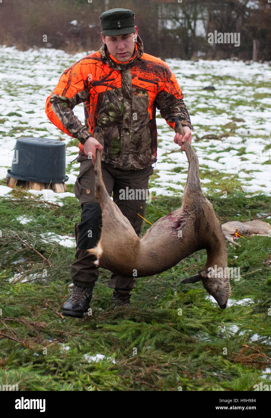 Hunter carrying dead deer hi-res stock photography and images - Alamy