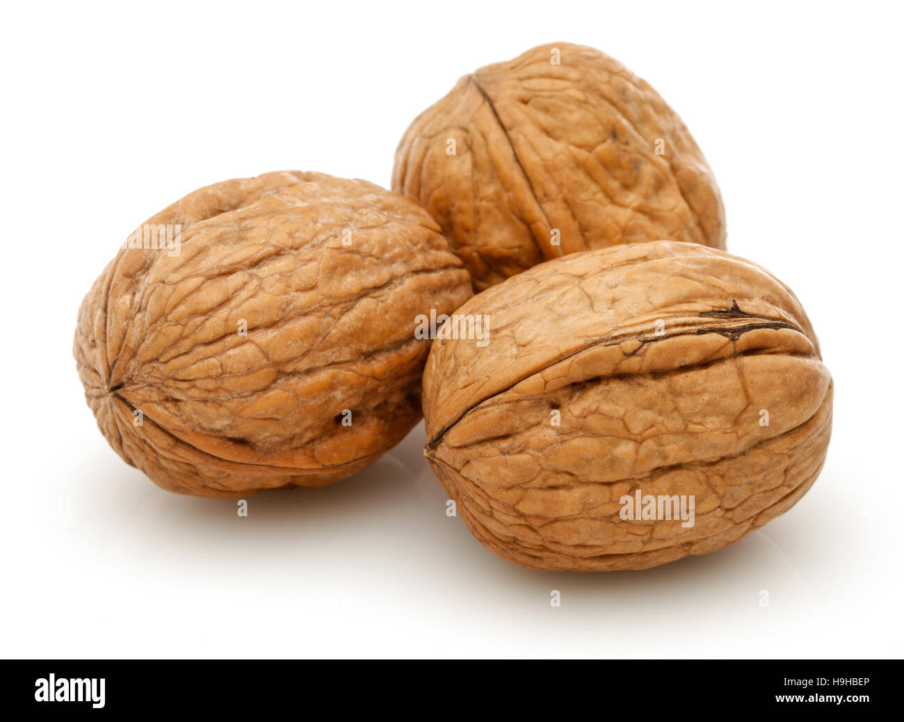 Walnut isolated on a white background Stock Photo - Alamy