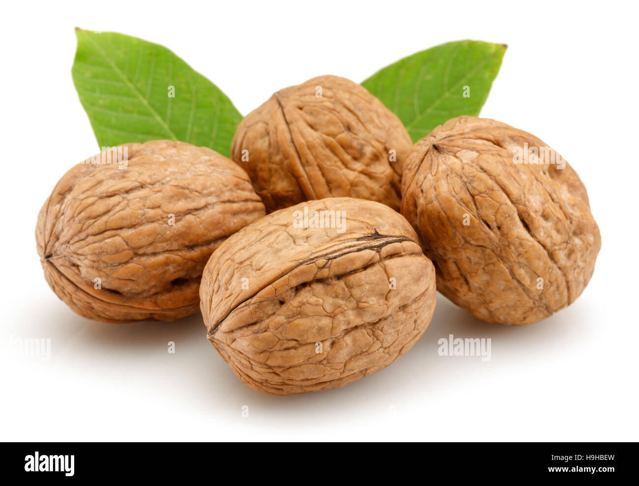Walnut isolated on a white background Stock Photo - Alamy