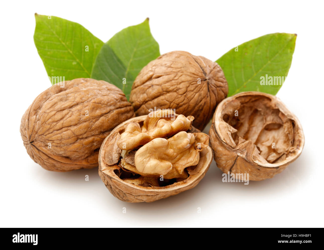 Half walnut kernel and whole walnut. Isolated on a white background ...