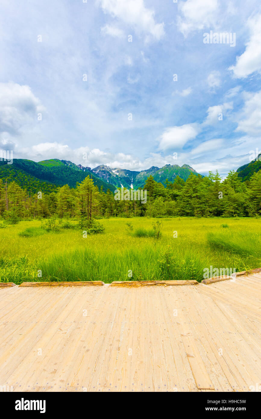 Wooden viewing platform overlooks nature view of meadow and distant ...