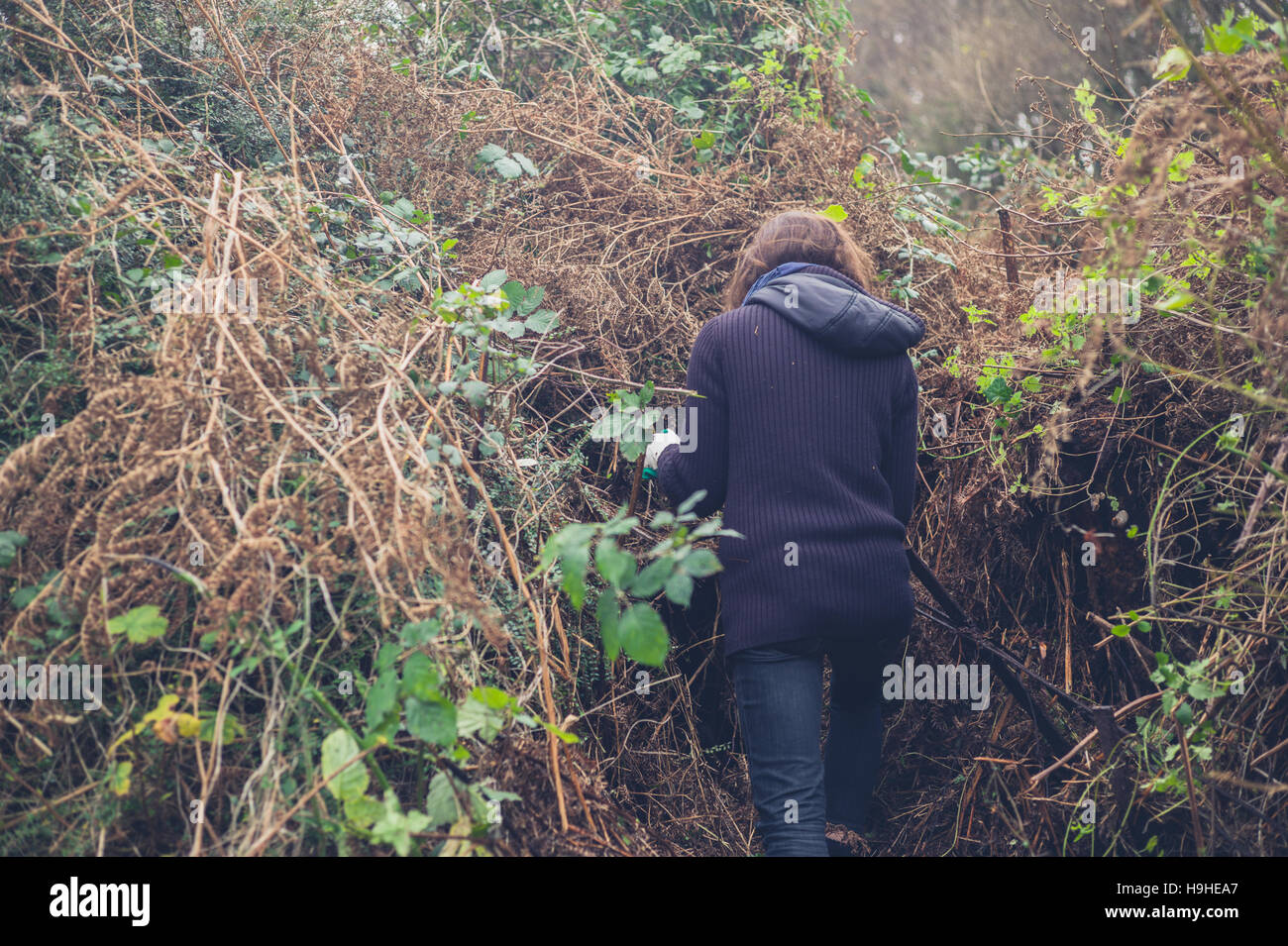 A young woman is weeding an overgrown garden Stock Photo - Alamy