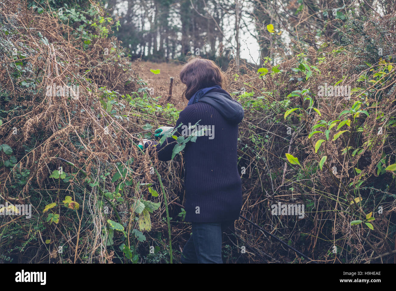 A young woman is weeding an overgrown garden Stock Photo - Alamy