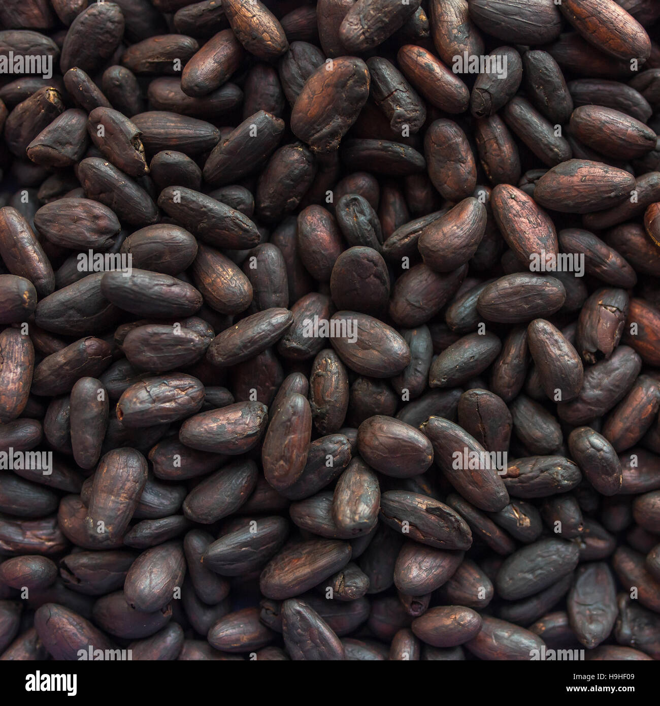 Fresh roasted cocoa beans dark background Stock Photo - Alamy